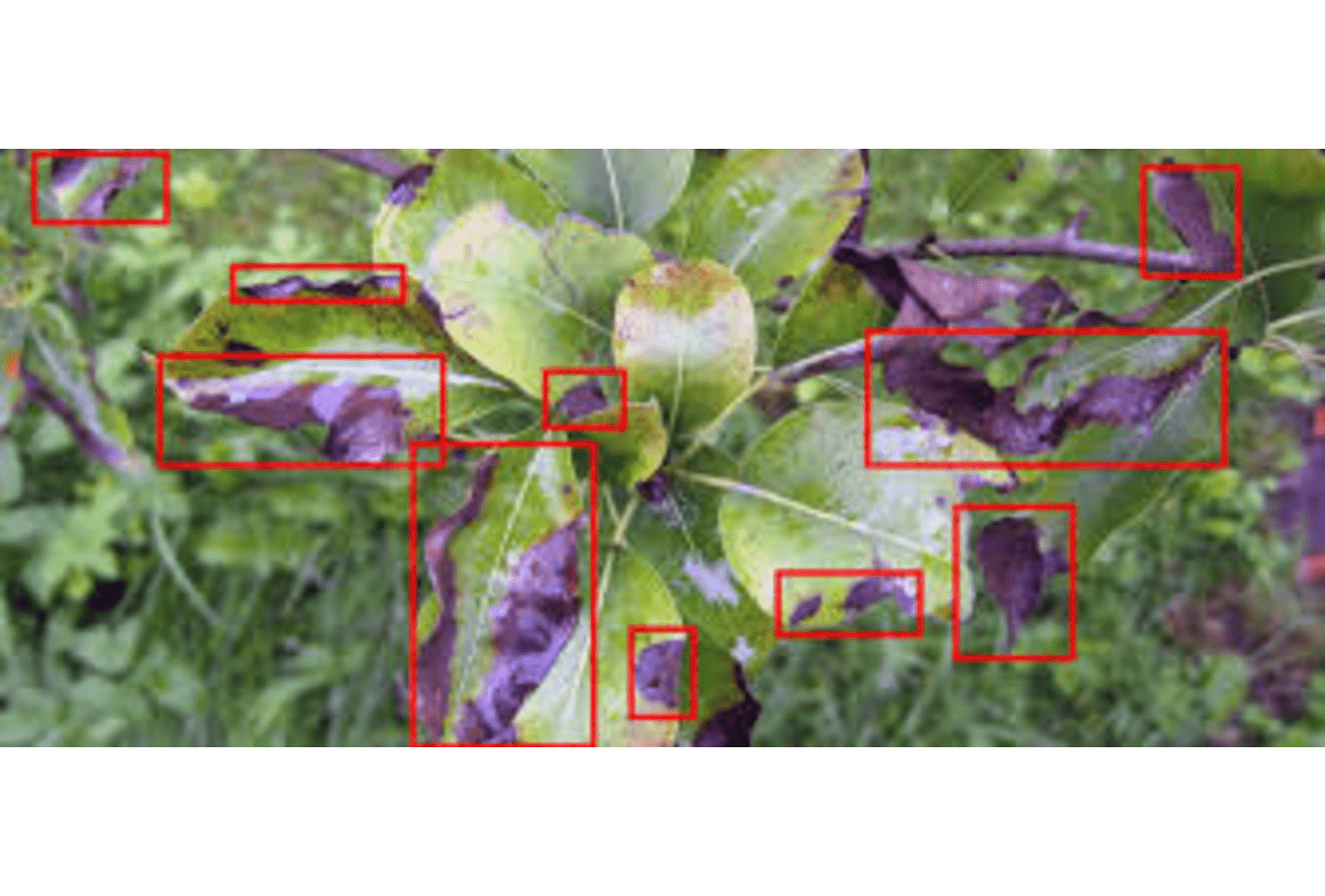 Vedant Marodkar Portfolio